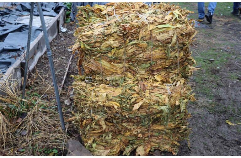 Hronika Archives - 013 Info